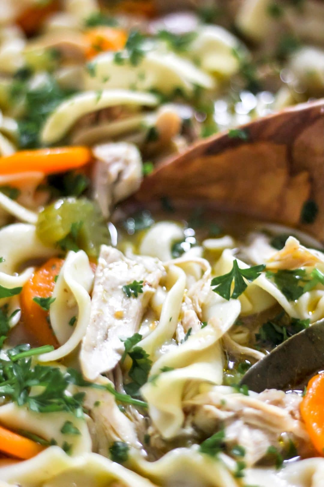 Classic Homestyle Chicken Noodle Soup - The Seasoned Skillet