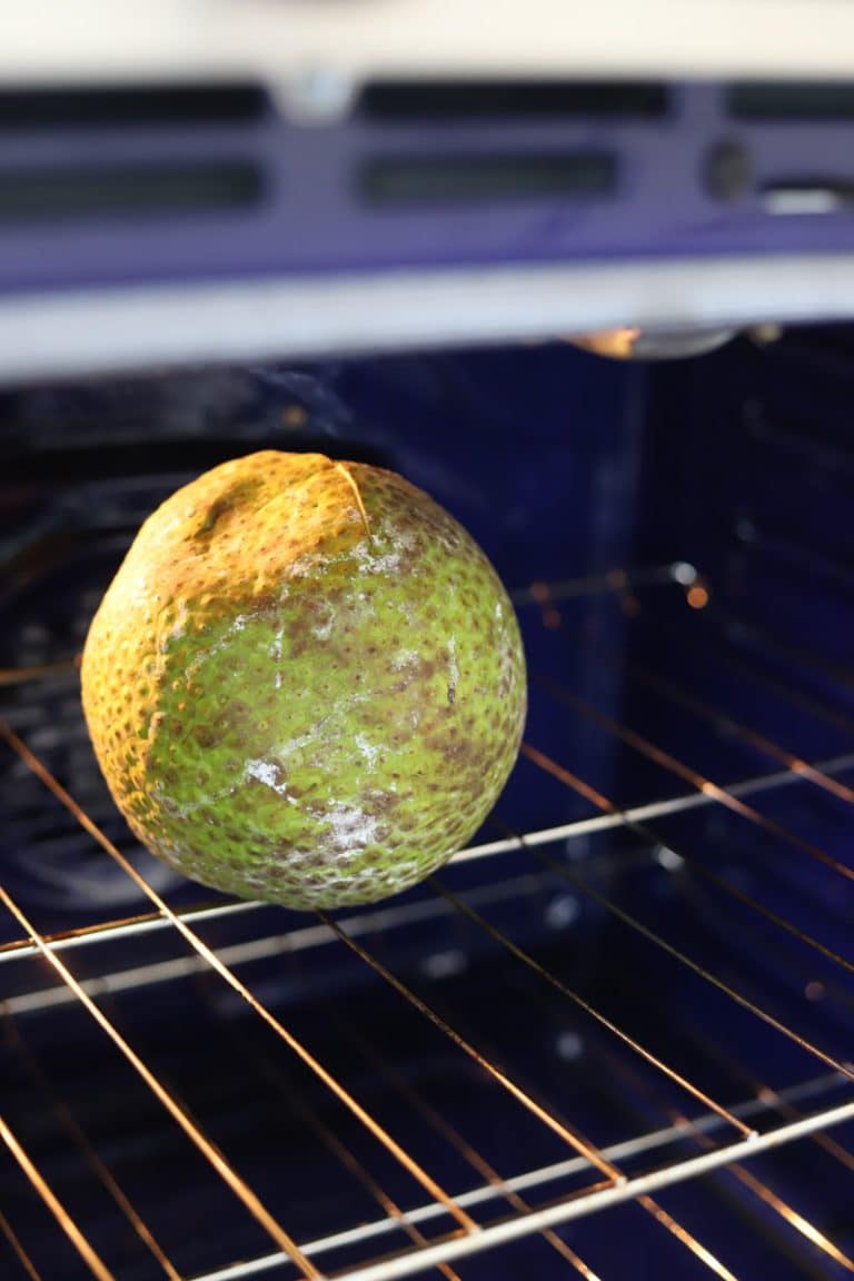 Roast Breadfruit - The Seasoned Skillet