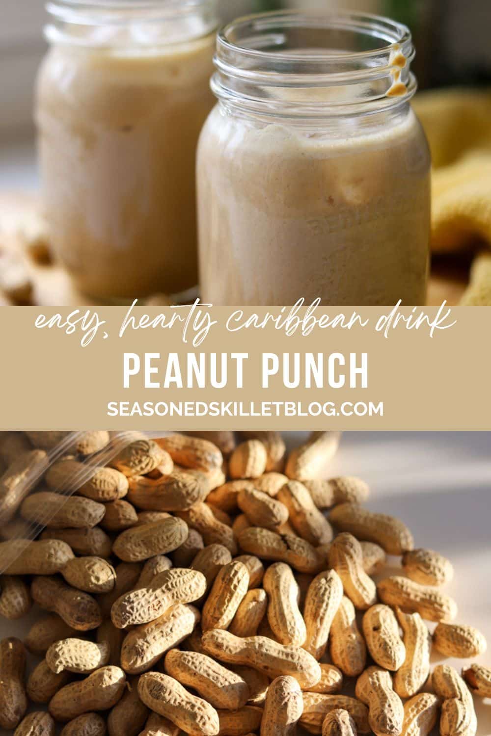 Peanut Punch - The Seasoned Skillet - Jamaican Recipes & Meals made Simple