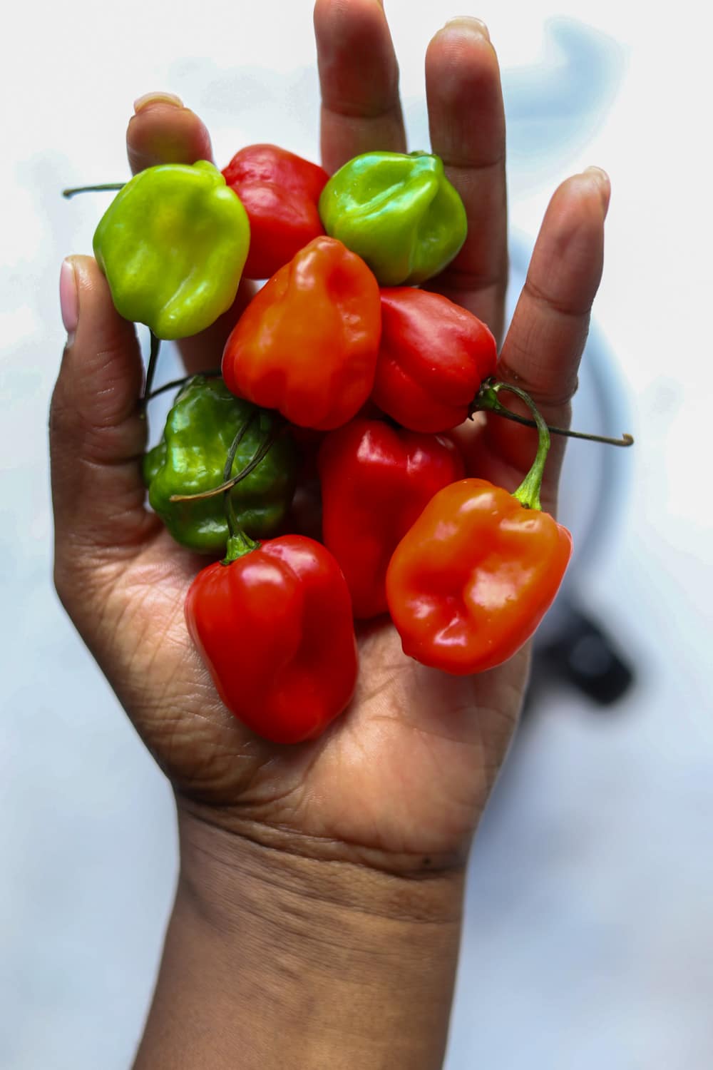 Scotch Bonnet Hot Pepper Sauce - The Seasoned Skillet